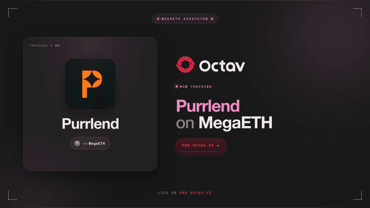 Octav Launches Complete Gas Fee Tracking Across Multiple Chains