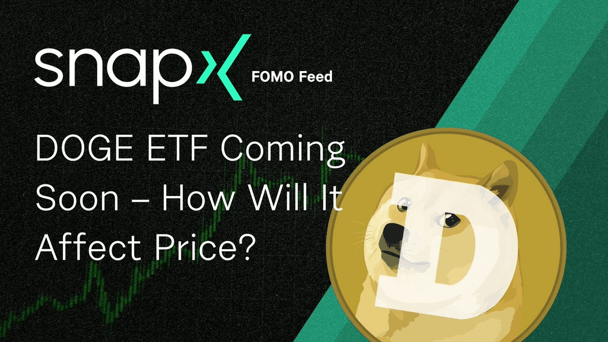 Bitwise Files for Dogecoin ETF, Whales Accumulate