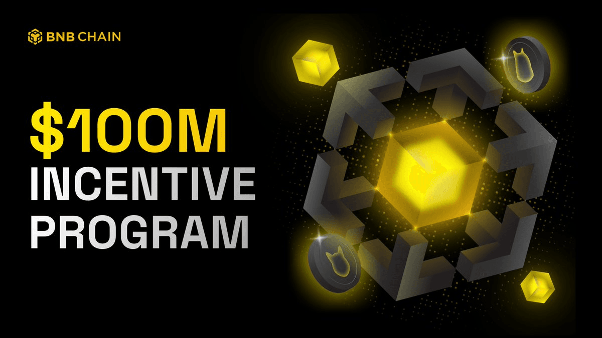 BNB Chain Foundation Continues $100M Liquidity Program with New Asset ...