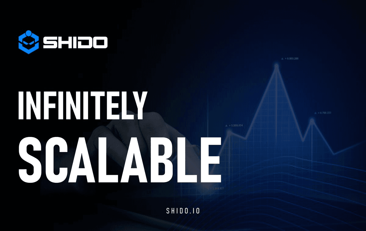 Shido Introduces Dual-Scaling Architecture