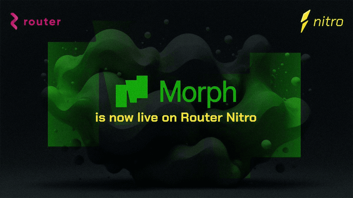 Router Protocol Burns 4.4M+ ROUTE Tokens in January